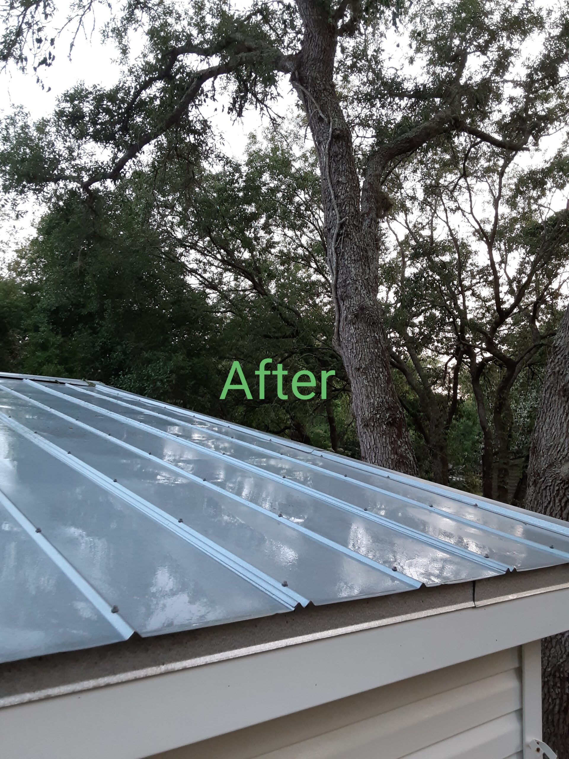 Roof Soft Washing - Clean Freak Pressure Washing